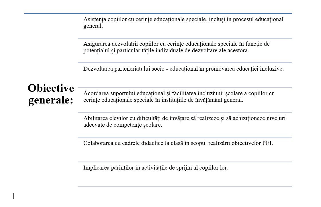 Planul de activitate a cadrului didactic de sprijin